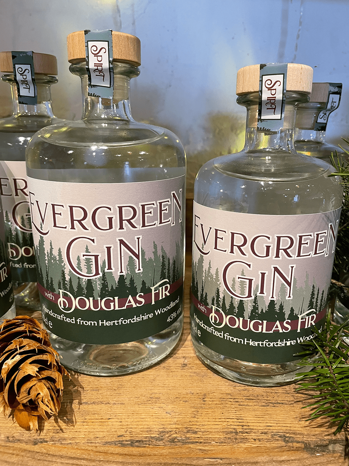 Evergreen Douglas Fir Gin - Spirit of Hertfordshire